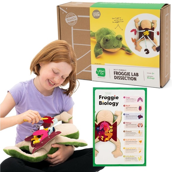 kiwi co | Toys | Kiwico Froggie Lab Dissection Frog Plush Toy Anatomy ...